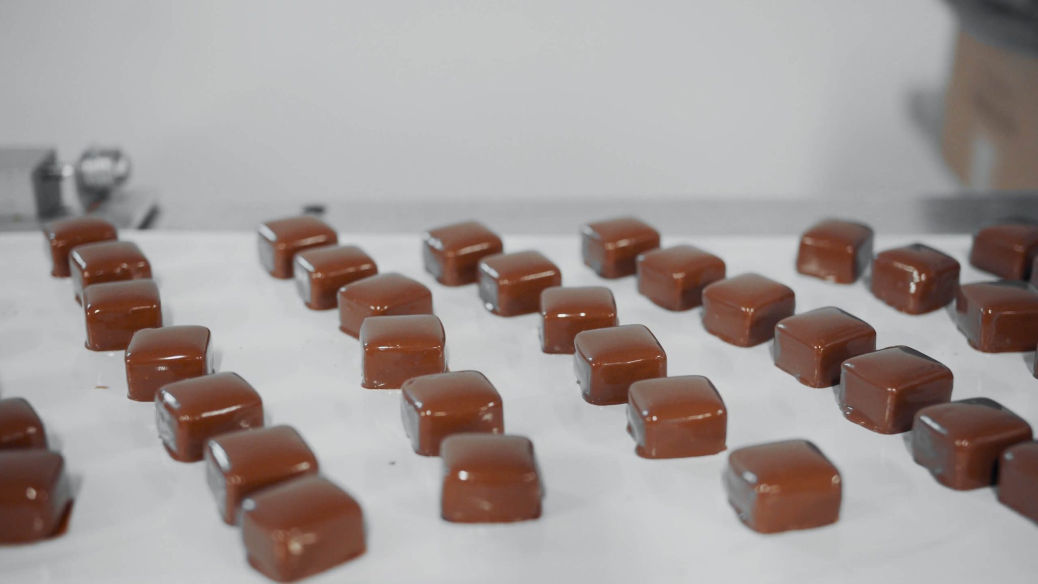 Sweet Success: Why Premium Chocolate Truffles Make the Best Promotional ...
